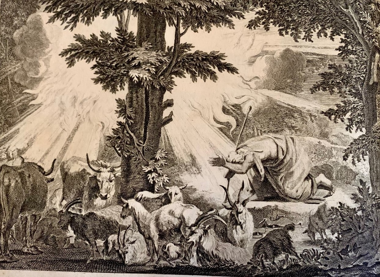 Culte du dimanche 11 septembre 2022 – EGLISE PROTESTANTE